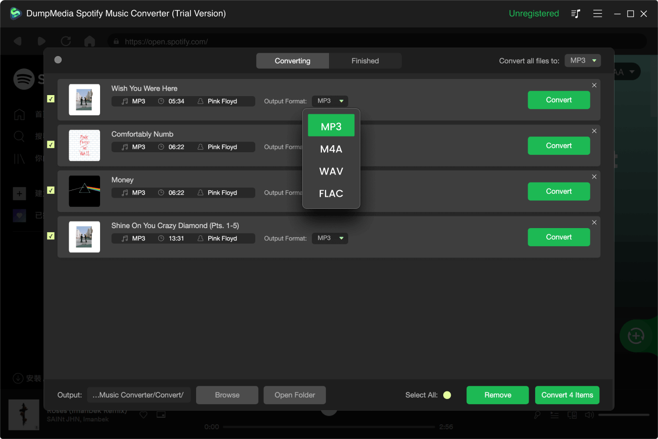DumpMedia Spotify Music Converter – Download & Convert Spotify Music to ...